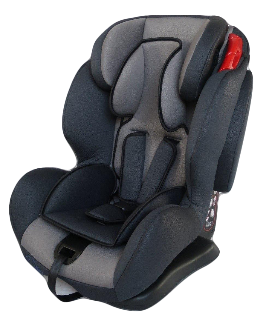 Bus Forceone – Transportation Services